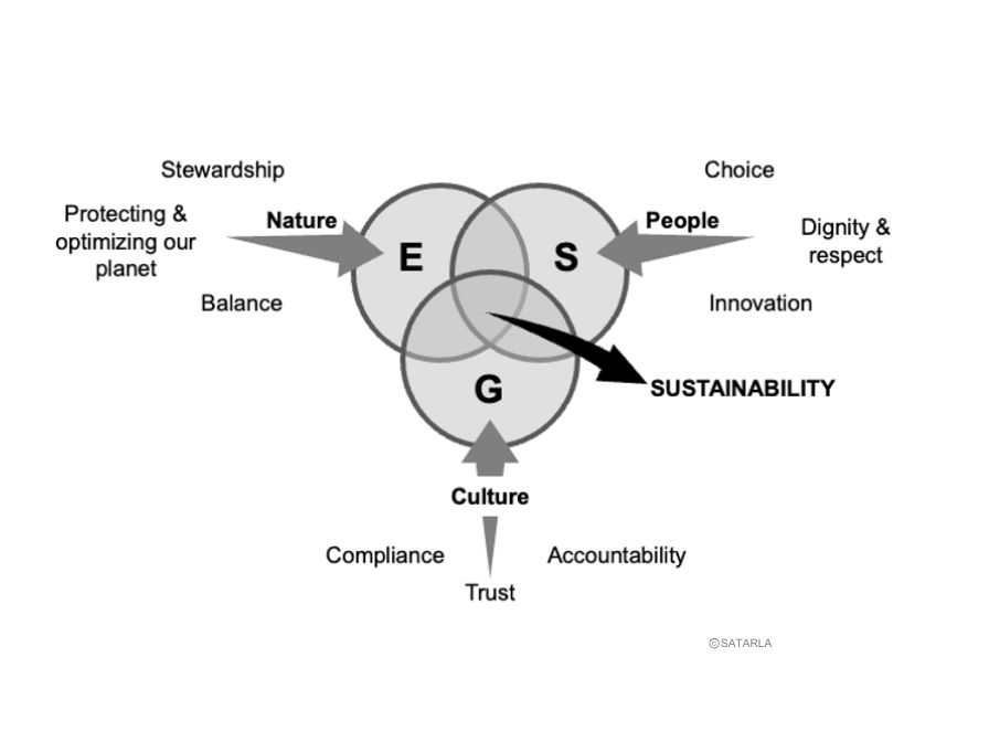 The integrated whole of ESG – Satarla